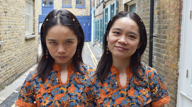 10 Unieke Tweelingen - Verbluffend!